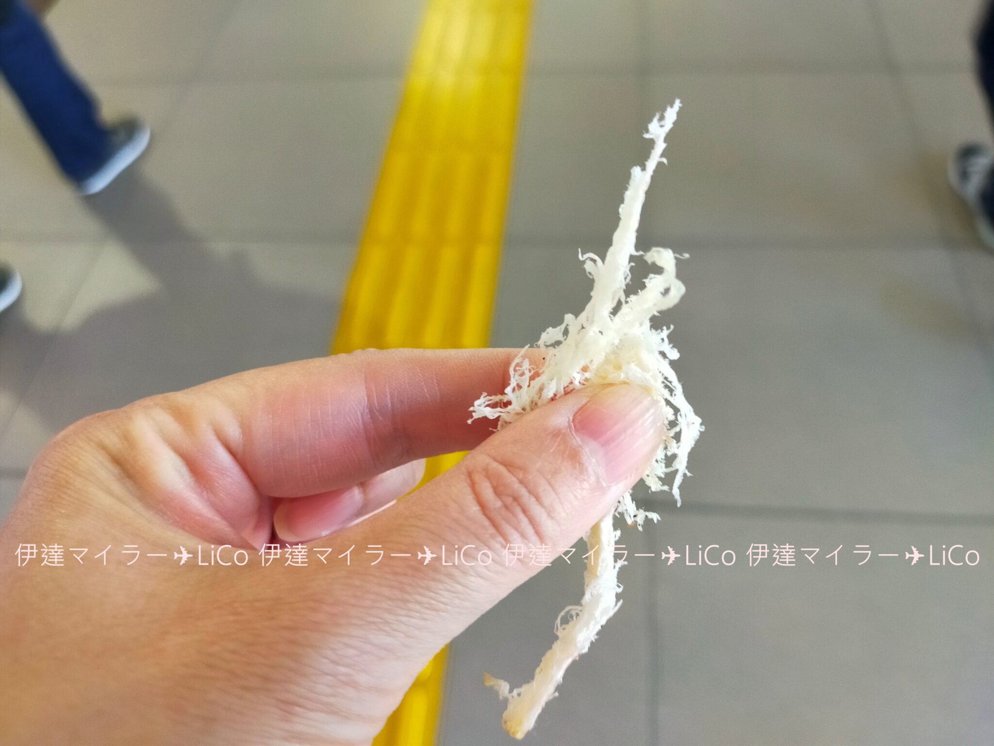 【八戸】購入したお土産や気になったお土産編 【JR東日本パス】日帰りでめぐる青森県 ③ | 仙台発 伊達マイラー LiCo（りこ）