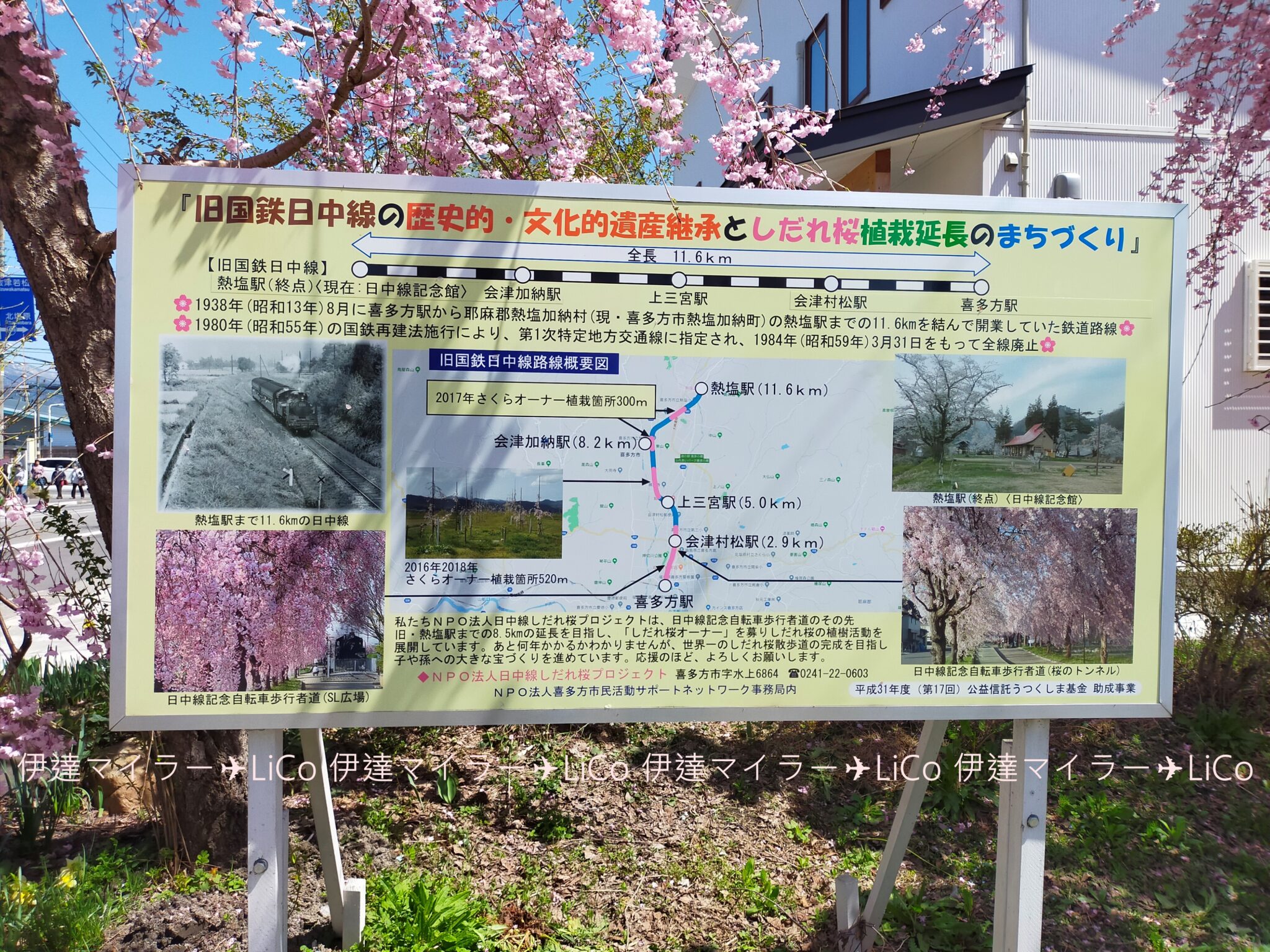 【青春18きっぷの旅】喜多方:日中線しだれ桜並木 JR東日本のポスター撮影地 仙台発 日帰り旅 | 仙台発 伊達マイラー LiCo（りこ）