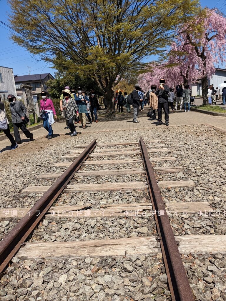【青春18きっぷの旅】喜多方:日中線しだれ桜並木 JR東日本のポスター撮影地 仙台発 日帰り旅 | 仙台発 伊達マイラー LiCo（りこ）