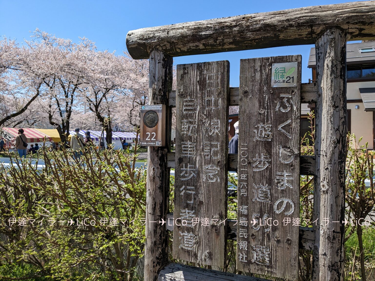 【青春18きっぷの旅】喜多方:日中線しだれ桜並木 JR東日本のポスター撮影地 仙台発 日帰り旅 | 仙台発 伊達マイラー LiCo（りこ）