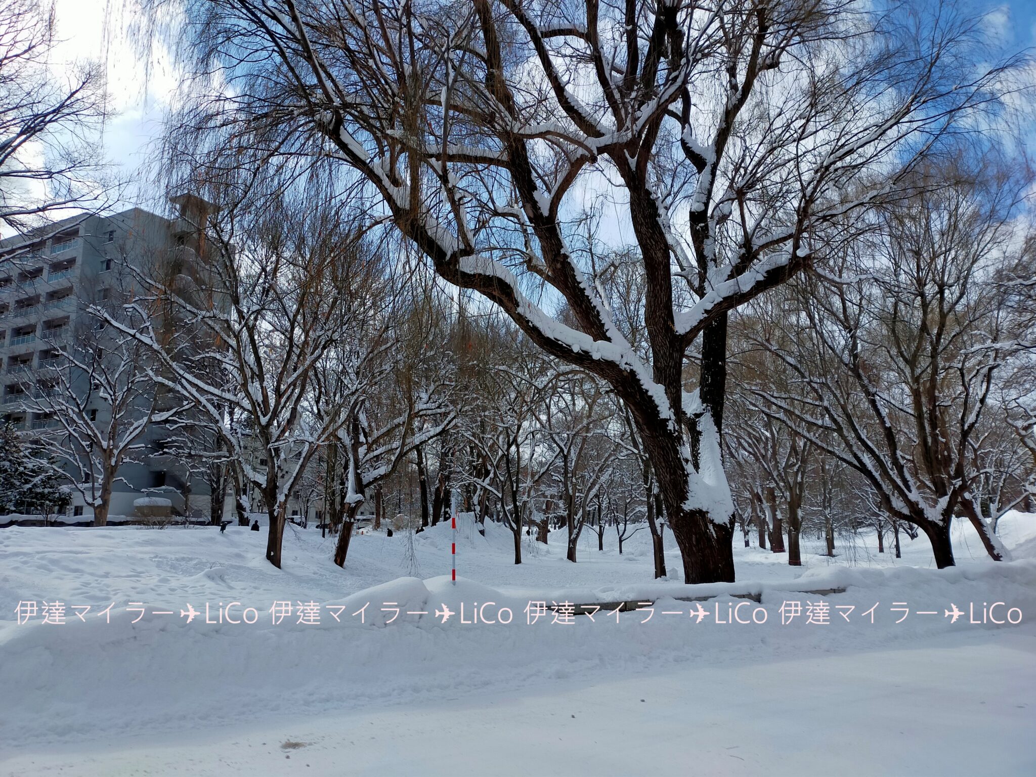 【北大マルシェ Cafe&Labo】北大産の牛乳で作る絶品 ジェラートやピザが楽しめる | 仙台発 伊達マイラー LiCo（りこ）