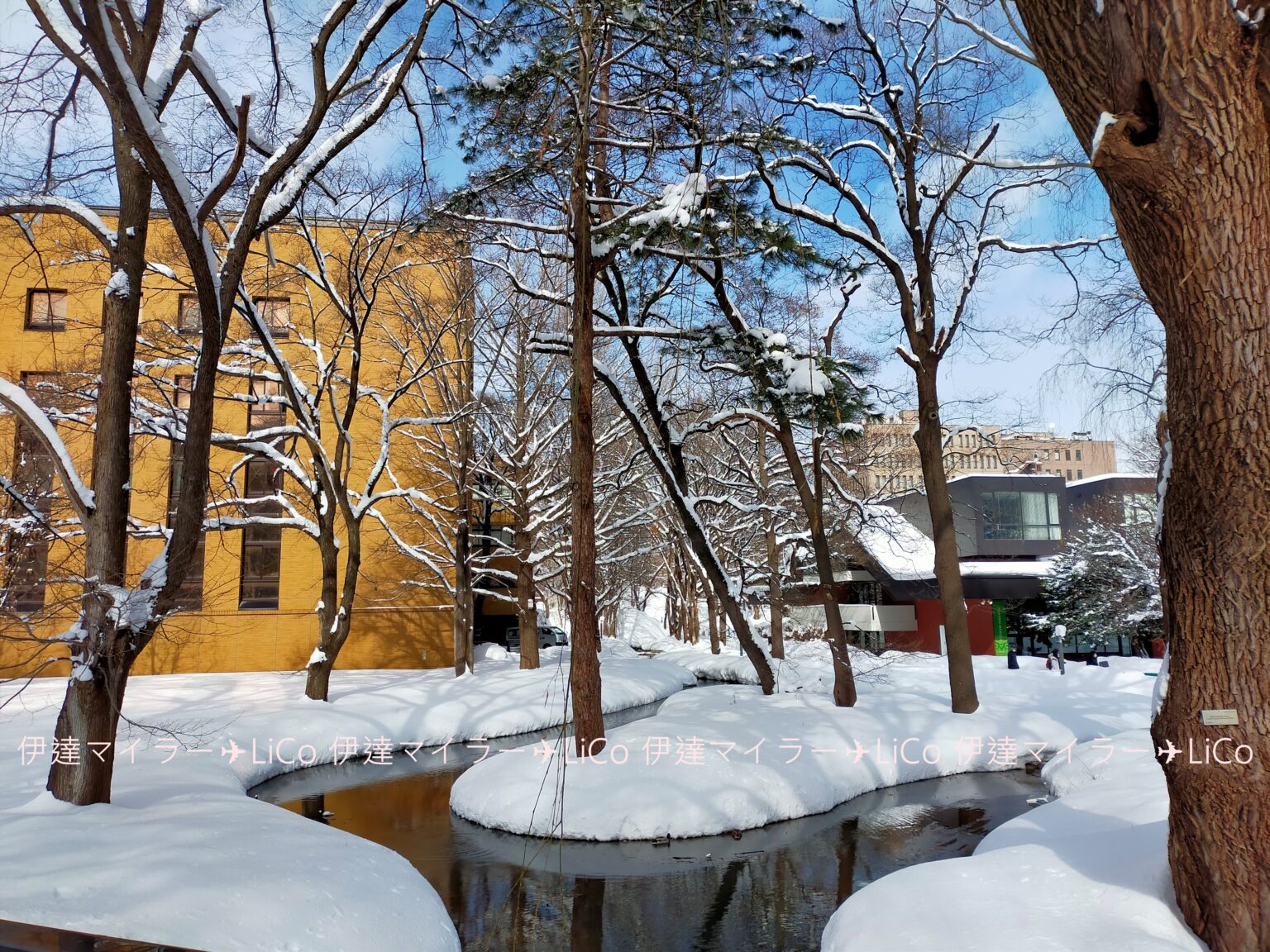 【北大マルシェ Cafe&Labo】北大産の牛乳で作る絶品 ジェラートやピザが楽しめる | 仙台発 伊達マイラー LiCo（りこ）